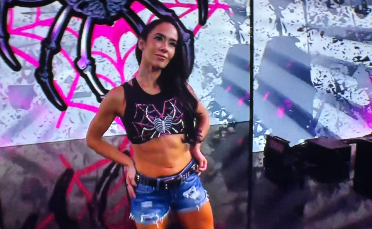 AJ Lee Returns To WWE On SmackDown